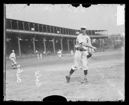 Chicago History Museum Images - Baseball player Cole, Chicago Cubs.