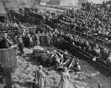 Chicago History Museum Images - Champion carload feeders, 1947 Chicago ...