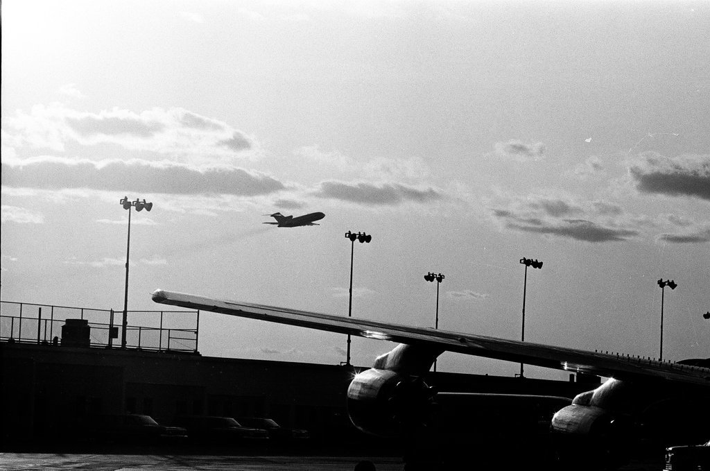 Chicago History Museum Images - Customs line at O'Hare Airport